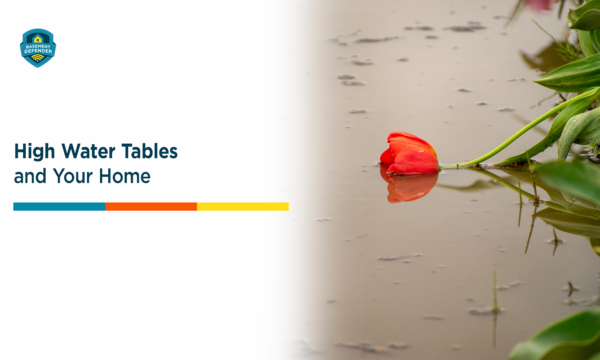 High Water Tables and Your Home? - Basement Defender